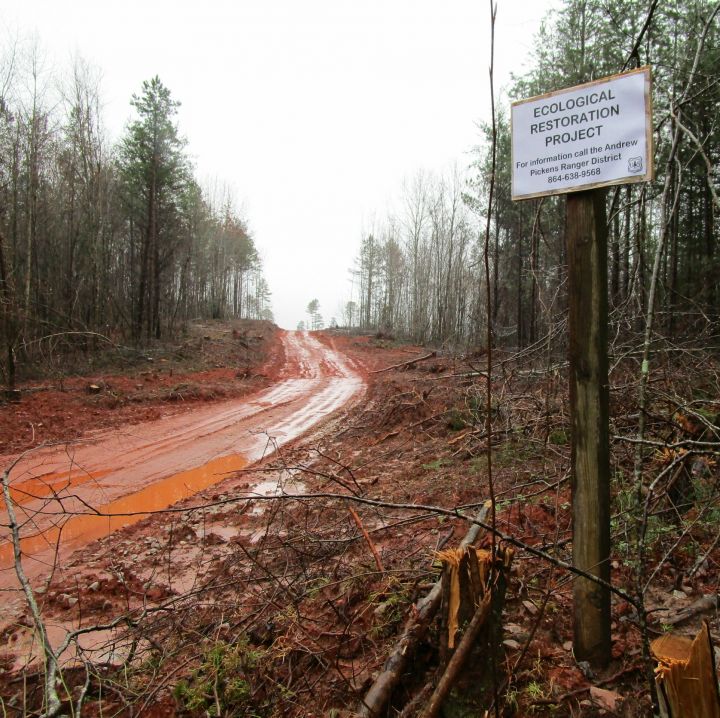 White Pine Project Talking Points – Chattooga Conservancy