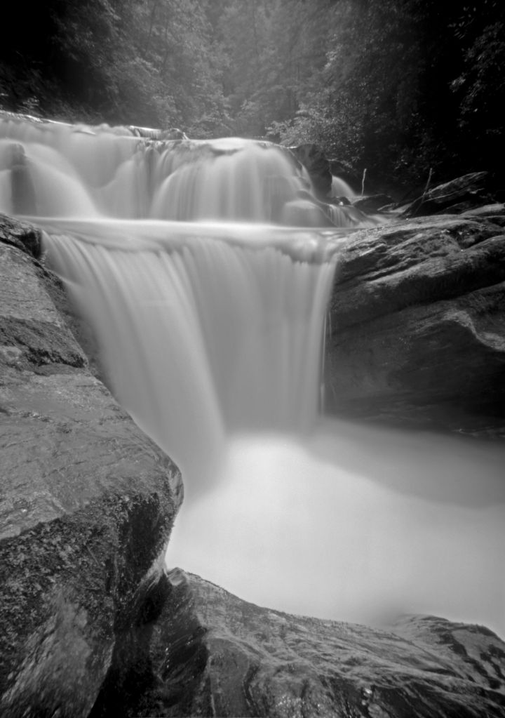 Our Collective Watershed: Notes on Overflow - Chattooga Conservancy